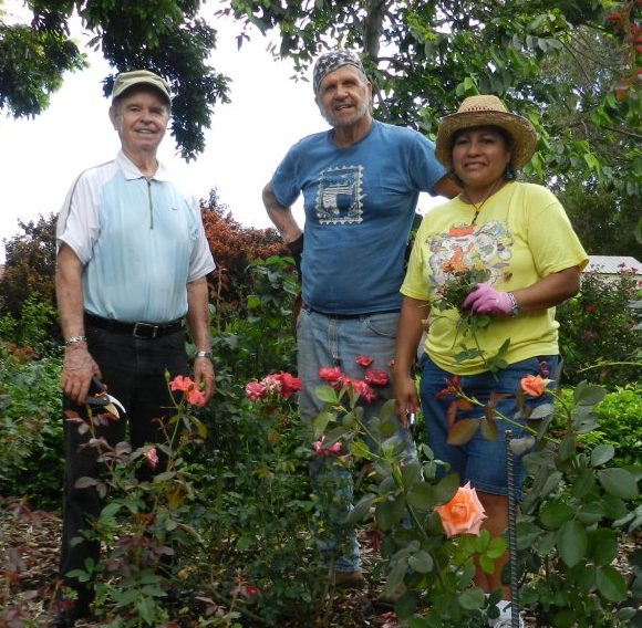 Greater Palm Beach Rose Society – Promoting Rose Growing in South ...