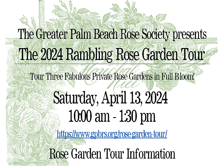 Rambling Rose Garden Tour – April 13, 2024 – Greater Palm Beach Rose ...